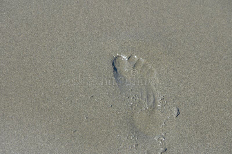 Footprint of a Bare Foot of a Man on the Beach Near the Sea 2 Stock ...