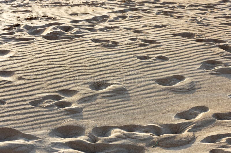 Footprint of a Bare Human Foot in Sea Sand in Summer Evening Stock ...