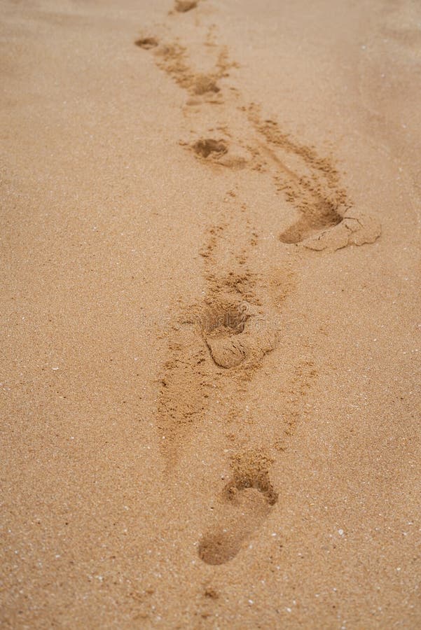 Footprint on the Beach in the Sand into the Distance Stock Photo ...