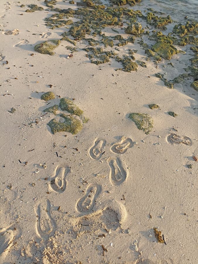 Footprint in the Beach Sand :& X29; Rock Water Stock Image - Image of ...
