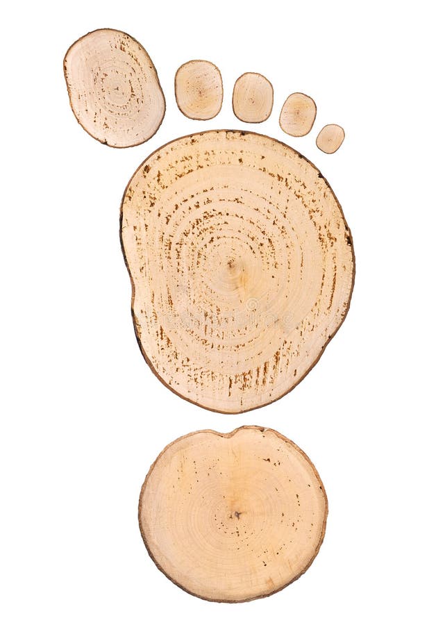 Footprint From Cross Sections Stock Image - Image of isolated, bark ...