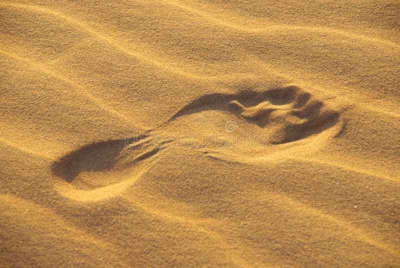 190+ Desert footprint Free Stock Photos - StockFreeImages