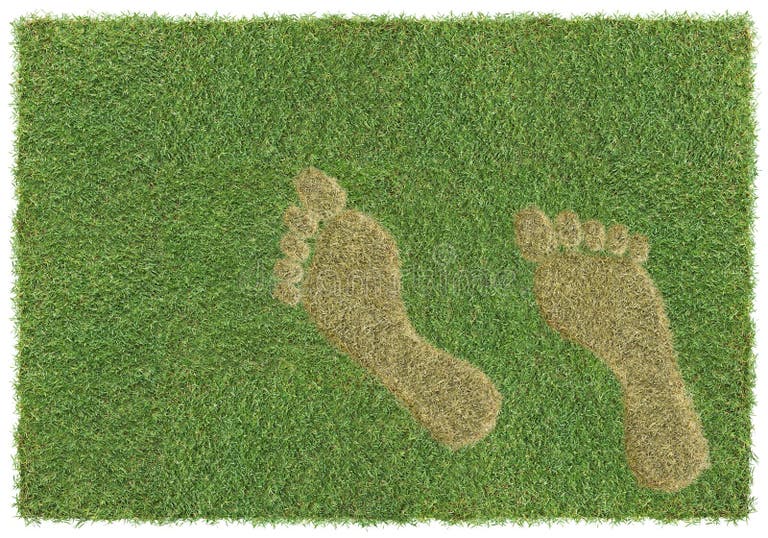 Footprint on grass stock photo. Image of lawn, damage - 8436814