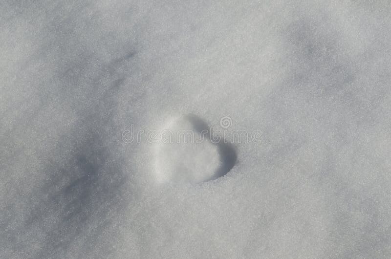 Heart Shape Imprinted in the Snow. the Footprint for a Merry Christmas ...