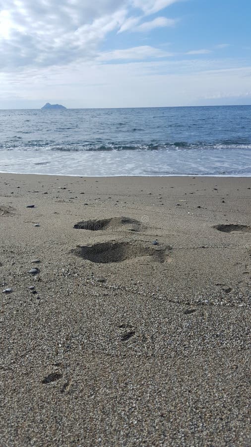 Footprint stock image. Image of animal, cloud, wave, beach - 89304617