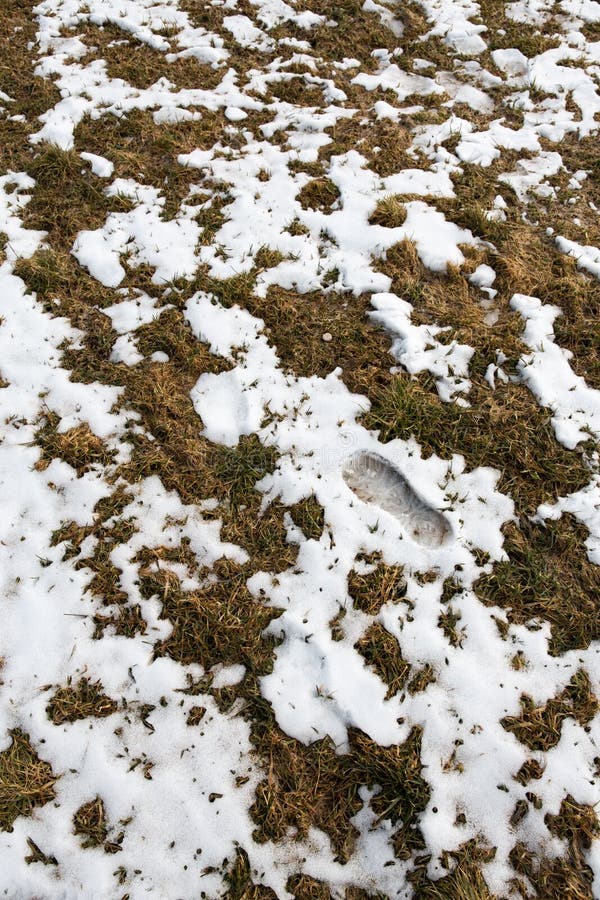Footprint of a Human in the Snow in Mountains after Winter in Spring ...