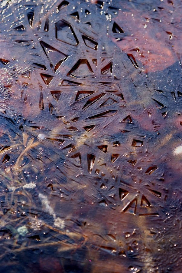 Footprint on iced puddle stock photo. Image of solid - 15286020