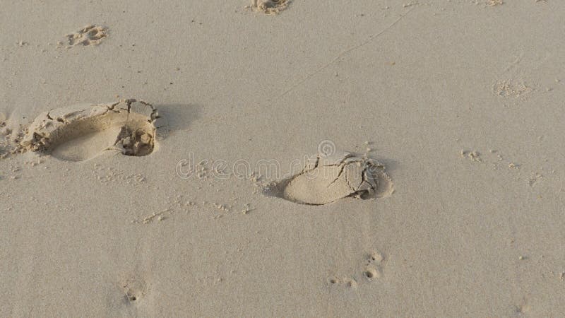 Photograph of Footsteps in the Sand Stock Image - Image of footprints ...