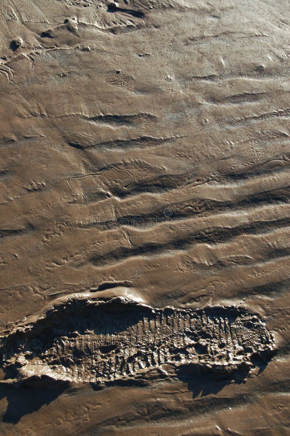 Footprint In Mud Picture. Image: 3615019