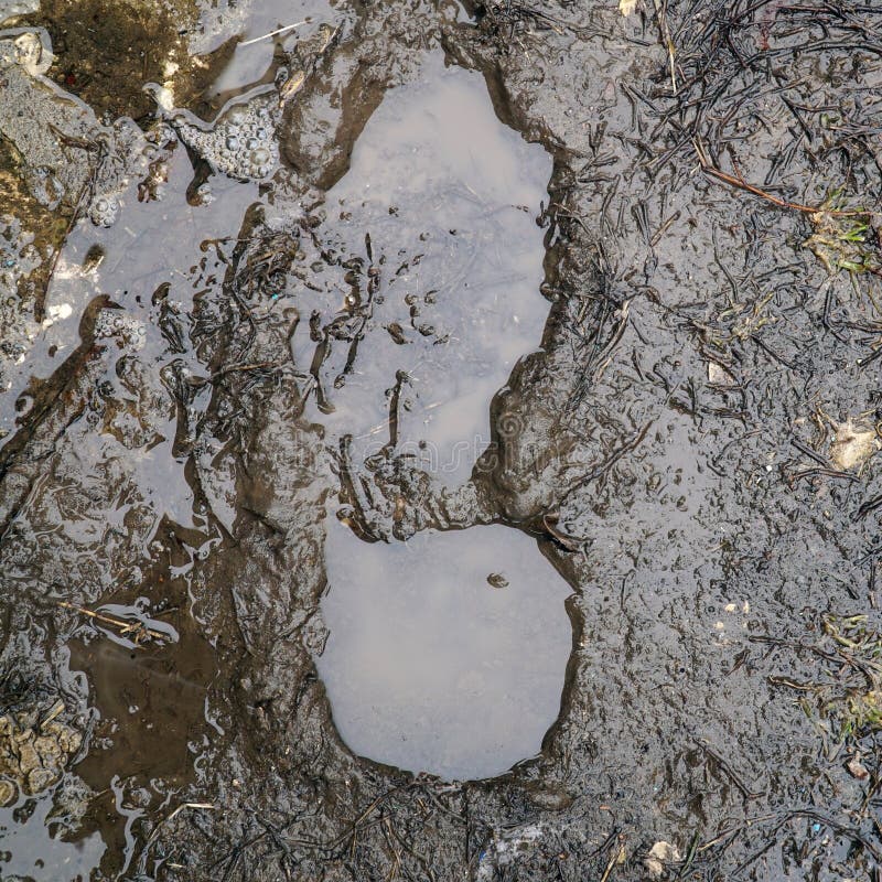Muddy footprints stock image. Image of estuary, oily, footprint - 920629