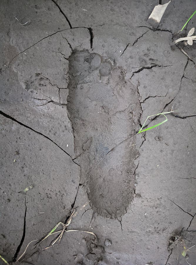 Footprint stock image. Image of human, footprint, natural - 263213067