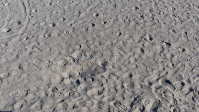 Looking Down an a Sandy Beach Stock Image - Image of drops, seabirds ...
