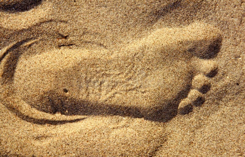 Toes in Sand stock image. Image of nail, sand, feet, digging - 577145