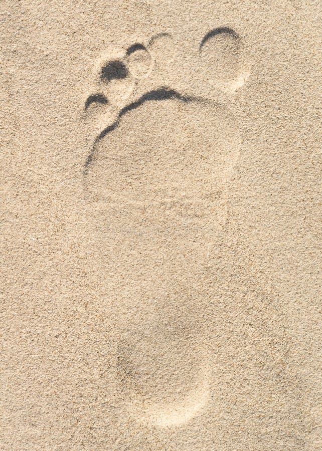 Footprint on sand stock image. Image of pattern, mark - 27948227