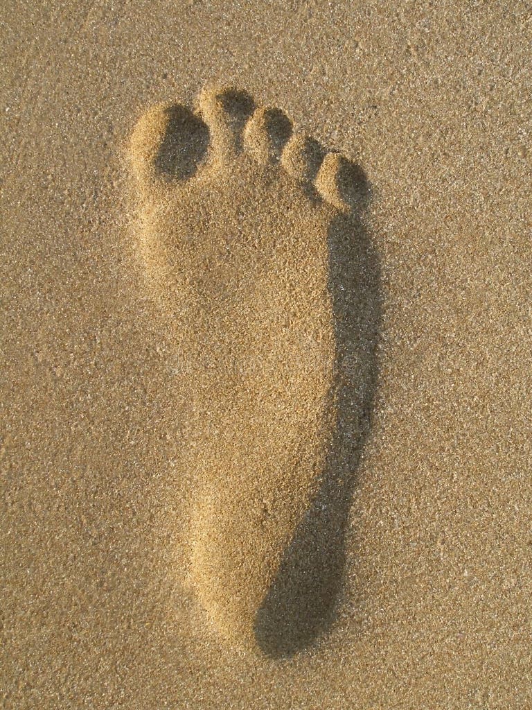 5,073 Toes Sand Images Stock Photos - Free & Royalty-Free Stock Photos ...