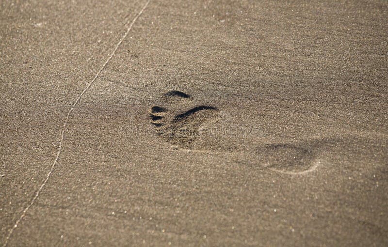 Footprint In The Sand Picture. Image: 6314025