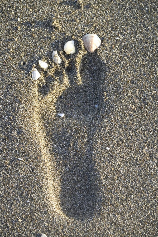 Footprint in the Sand on the Beach Stock Photo - Image of walk, steps ...