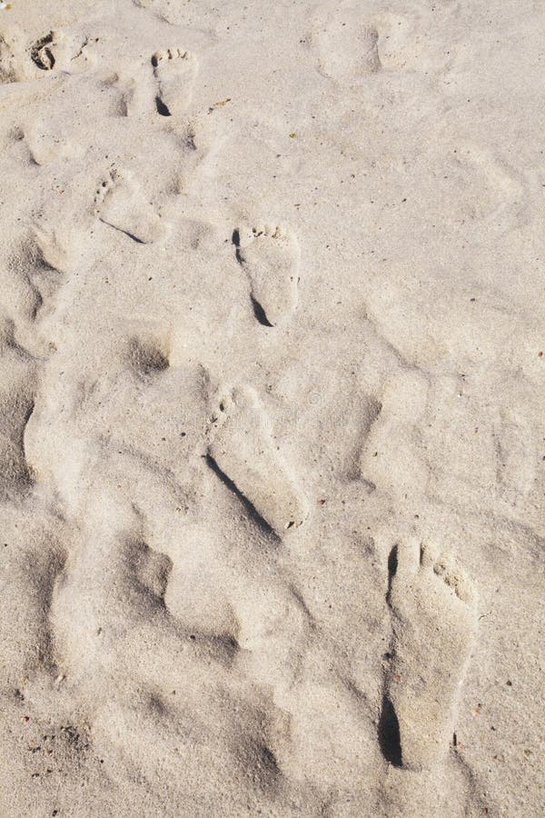 A footprint in the sand stock photo. Image of nature - 35627054