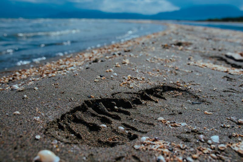 Footprint in the Sand on Lake Shore Stock Image - Image of foot, lake ...