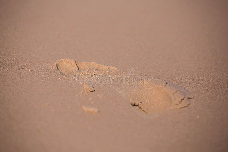 Footprint stock photo. Image of prints, imprint, footprints - 31130