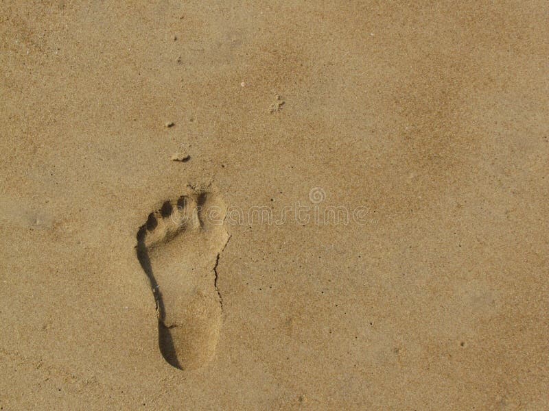 2,373 Single Footprint Stock Photos - Free & Royalty-Free Stock Photos ...