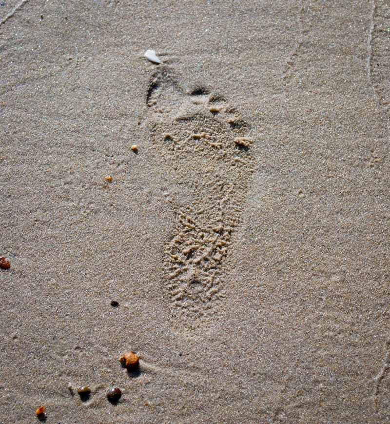 Footprint on the sea sand stock image. Image of soggy - 27364843