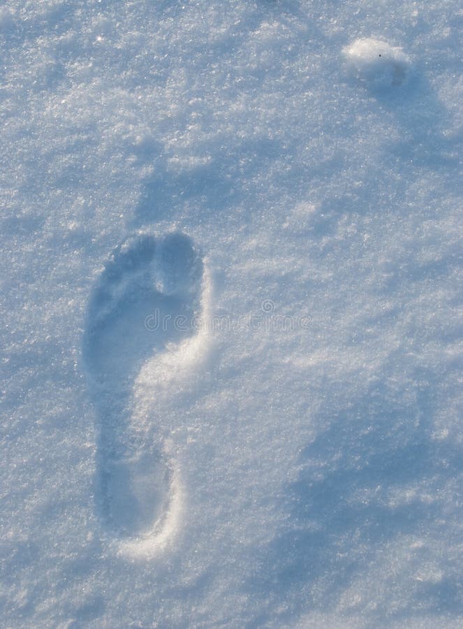 Footprint in the snow stock photo. Image of nature, icing - 85197006