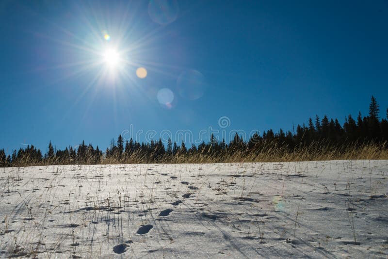Footprint on Snow and Blue Sky with Sun Flare Stock Image - Image of ...