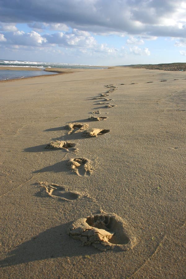 Footprints stock image. Image of ocean, follow, footprint - 1097613