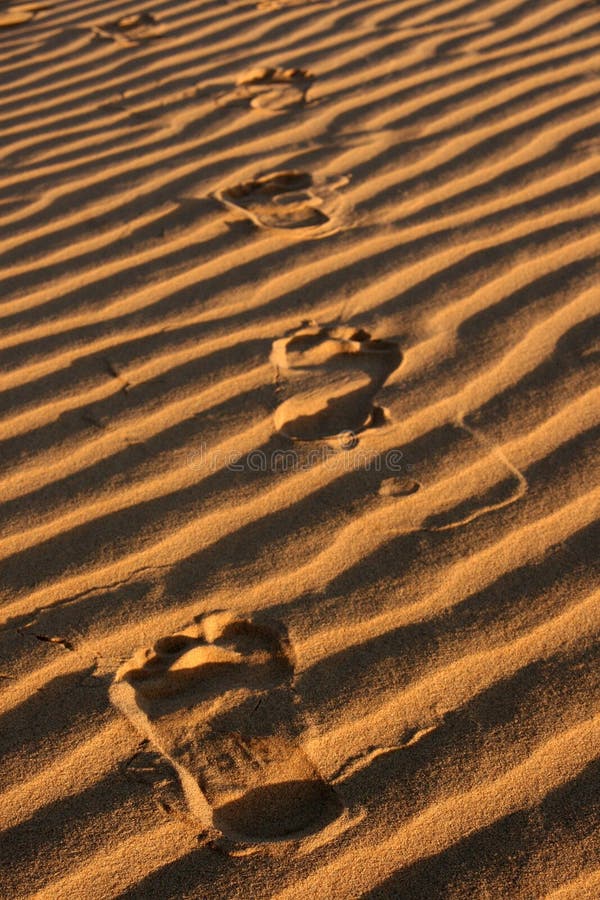 Footprints stock image. Image of desert, empty, dunes - 12996349
