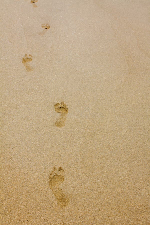 Footprints Picture. Image: 14046116