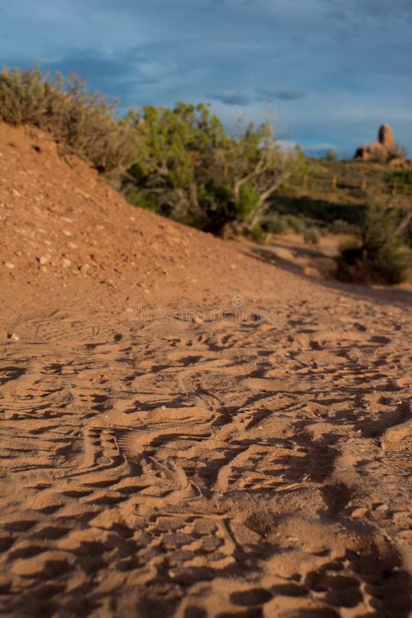 Footprints stock image. Image of trail, print, path, footprint - 38178455