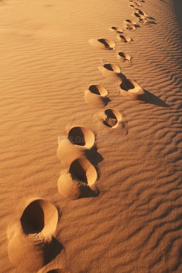 Footprints stock photo. Image of route, concept, lost - 4693156