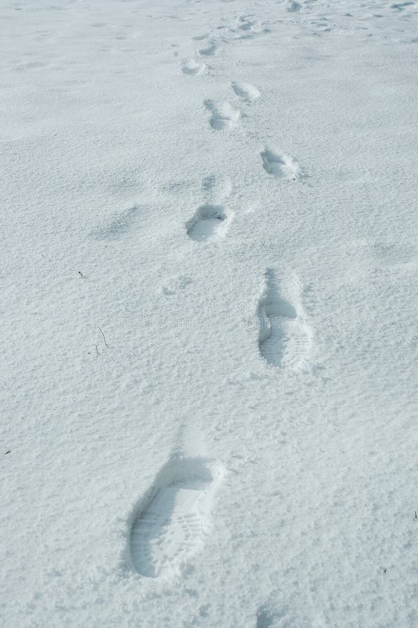 Footprints stock photo. Image of water, ocean, sunset, environment - 190096