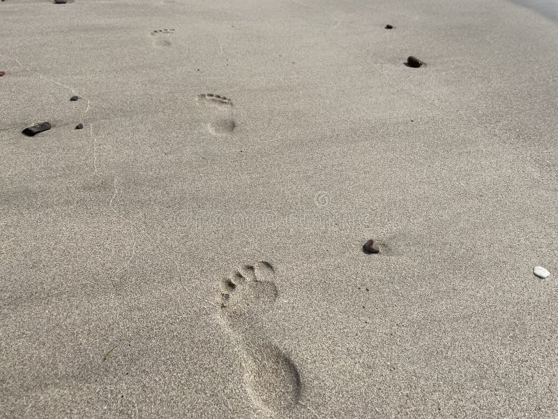 Footprints Along a Beach stock photo. Image of coast - 268887946