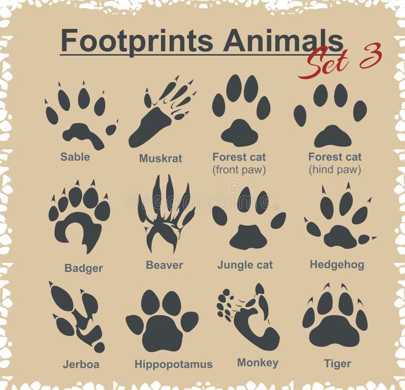 Footprints Animals - Vector Set Stock Vector - Illustration of ground ...
