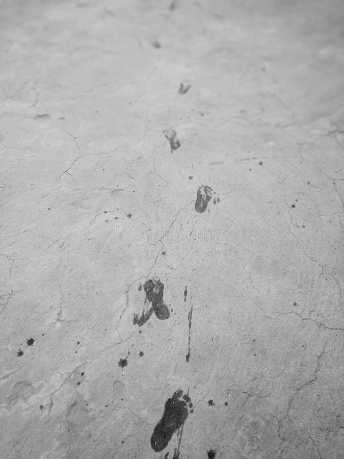 Footprints on arid ground stock image. Image of flooring - 254733843