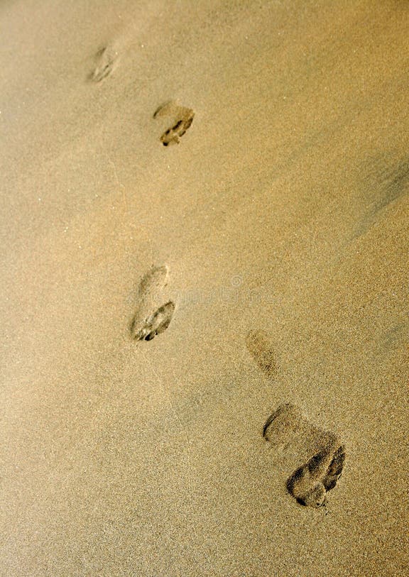 Footprints on the Beach stock photo. Image of escape, stroll - 135278