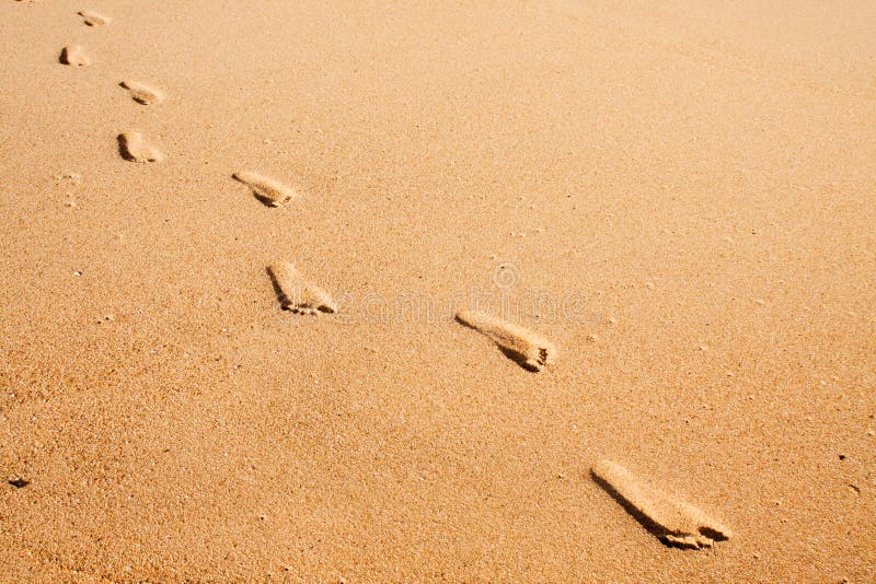 Multiple Footprints Sand Stock Photos - Free & Royalty-Free Stock ...