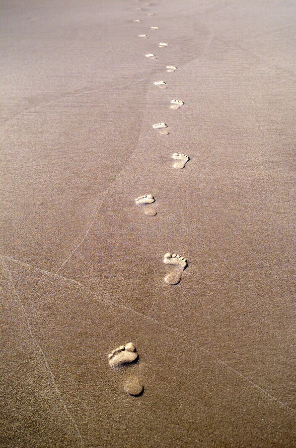 Footprints on the Beach stock photo. Image of perfect - 9269826