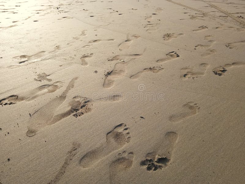 Footprints on the Beach with Brown Sand Stock Photo - Image of brown ...