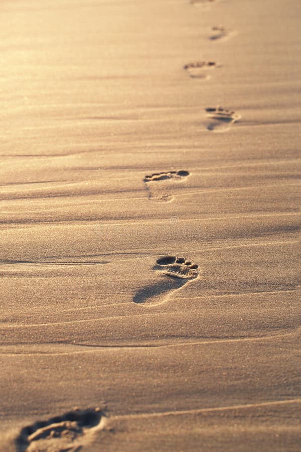 Footprints on sand stock image. Image of ripple, scene - 29800995
