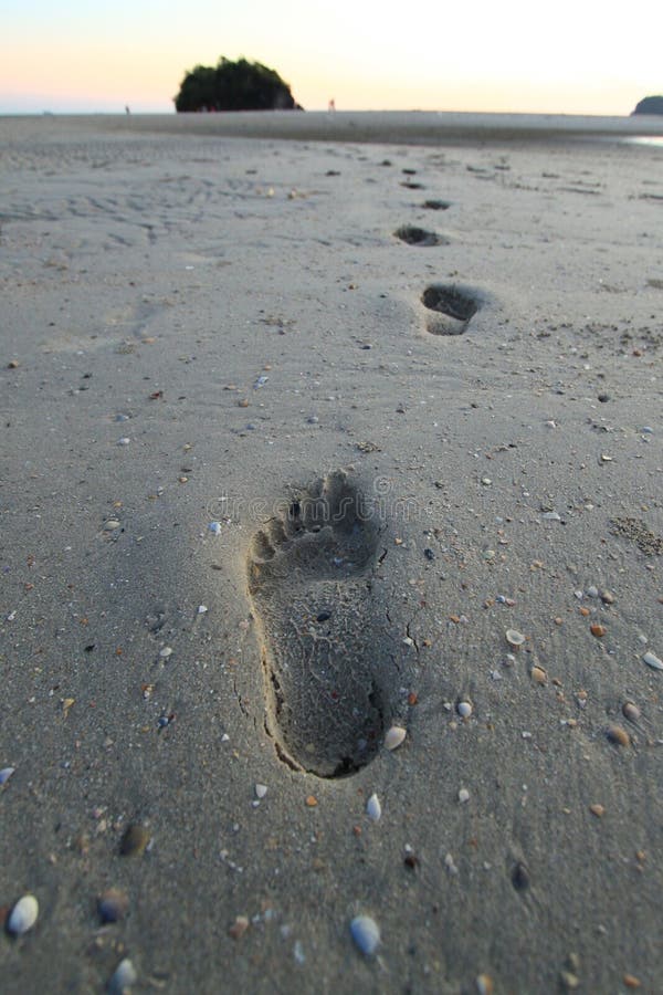 Multiple Footprints in Sand at the Beach on a Sunny Day. Foot Imprints ...