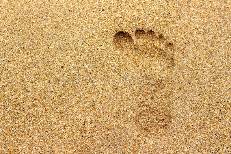 Footprints on the Beach Sand Stock Image - Image of nature, walk: 284965825