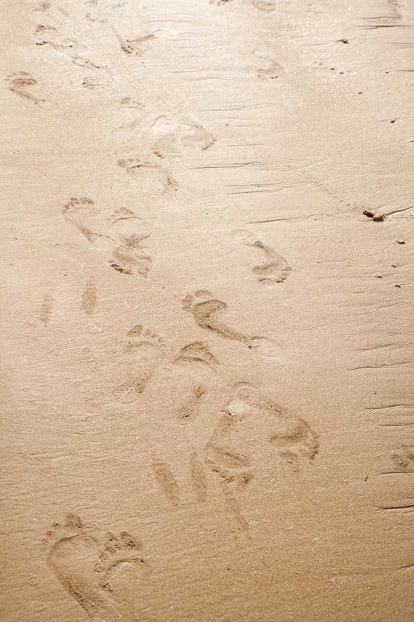 Footprints on the Beach Sand Stock Photo - Image of march, footprint ...