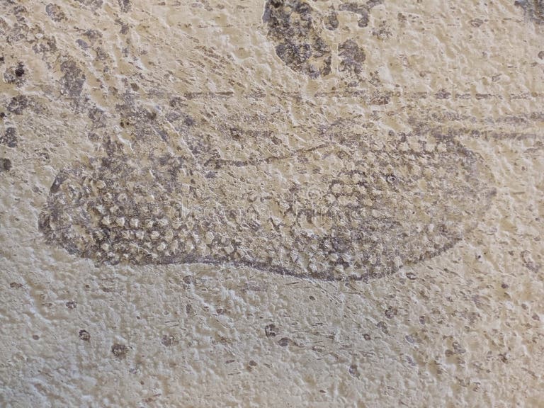 Footprints on crime scene stock image. Image of detective - 192117353