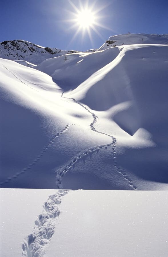 Footprints in deep snow stock photo. Image of frost, track - 4309988
