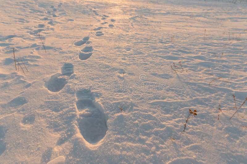 Footprints in the Deep Snow in a White Box Stock Image - Image of ...