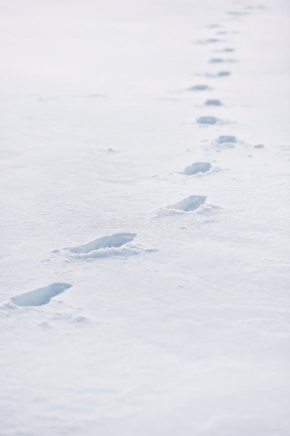 Footprints in deep snow stock photo. Image of human, path - 64854920