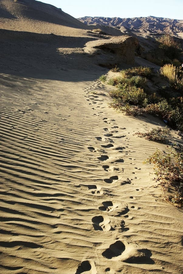 Footprints in desert stock image. Image of blue, desolate - 12765143